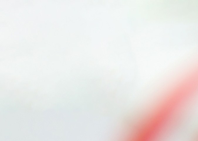 Dónde sacar el sticker de placas del carro en Estados Unidos - Siempre Auto