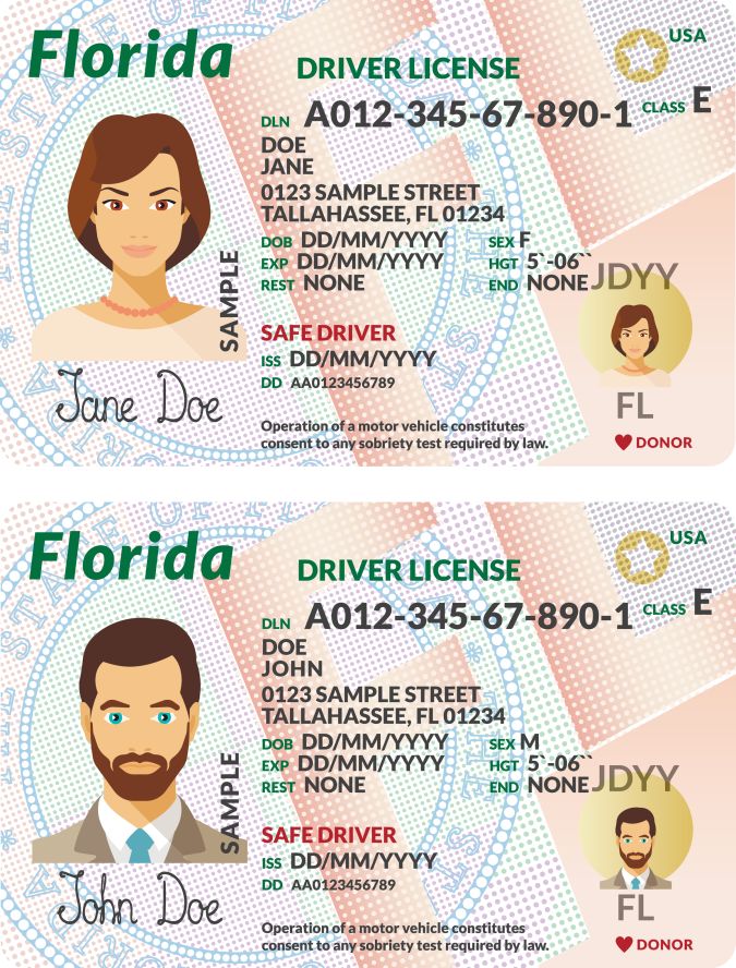 Cómo solicitar cita para licencia de conducir Florida: requisitos ...