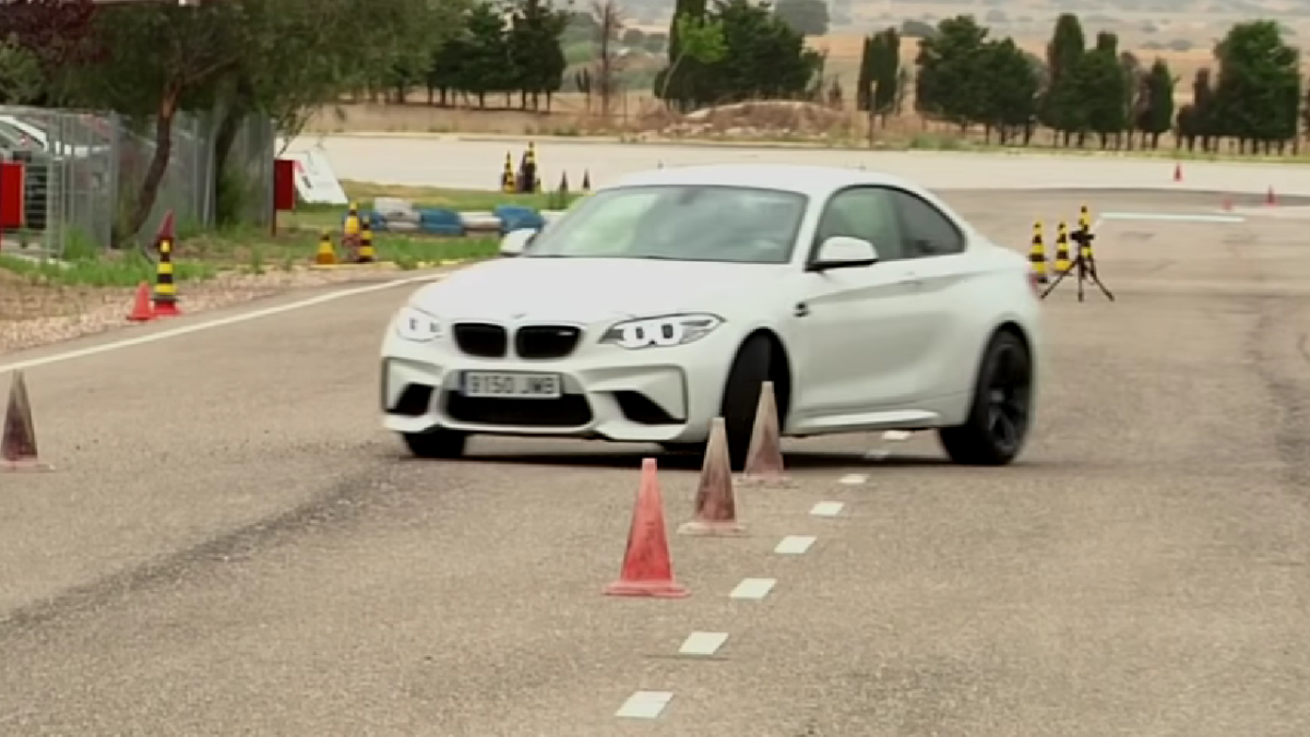 ¿Qué es la prueba de los alces? - Siempre Auto