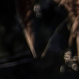 3DTuning: la app para modificar carros que causa furor - Siempre Auto