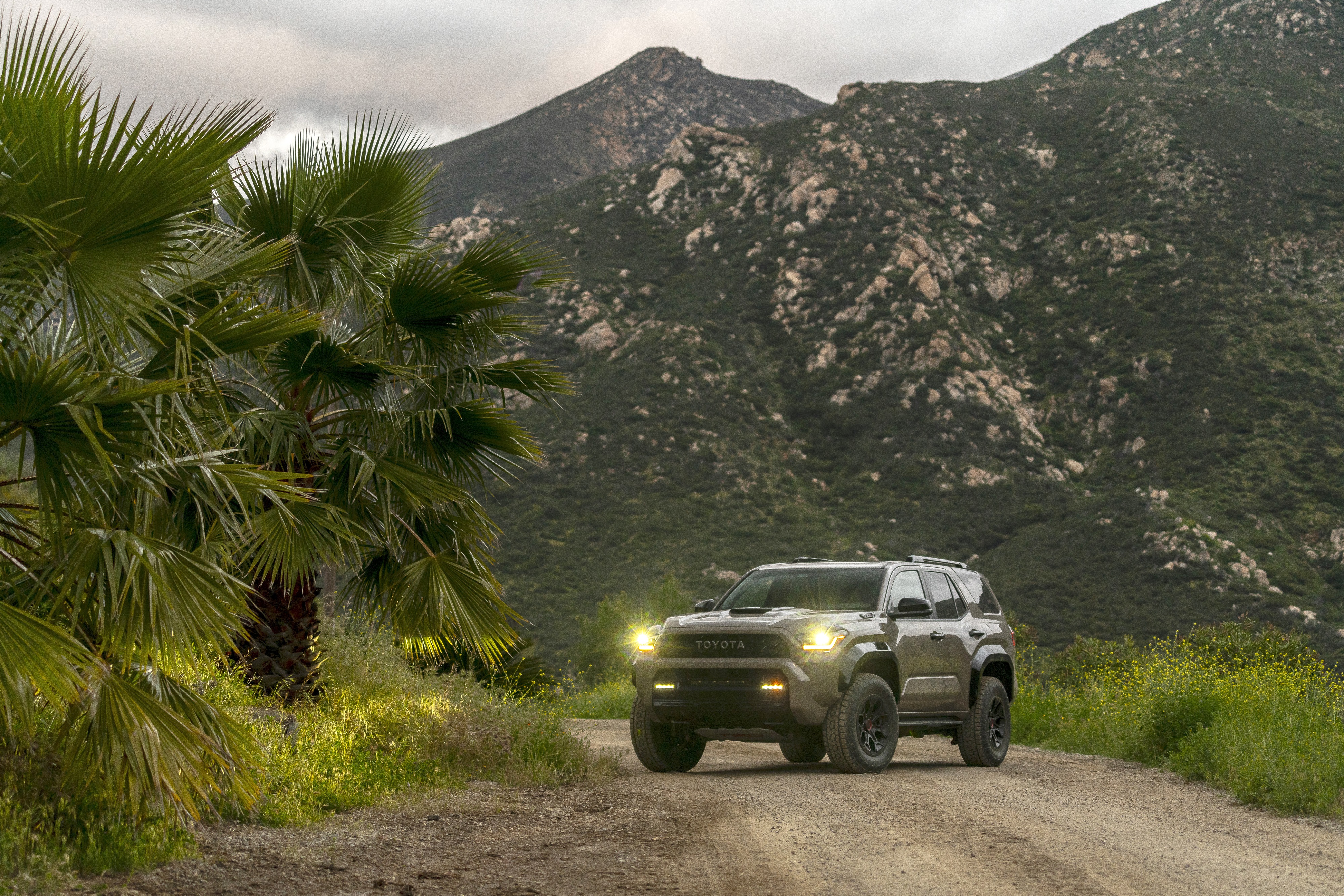 Toyota 4Runner TRD Pro 2025: la SUV más aventurera - Siempre Auto