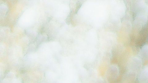 Autos con paneles solares: ¿cómo funcionan? - Siempre Auto