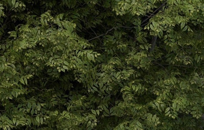 Autos con paneles solares: ¿cómo funcionan? - Siempre Auto