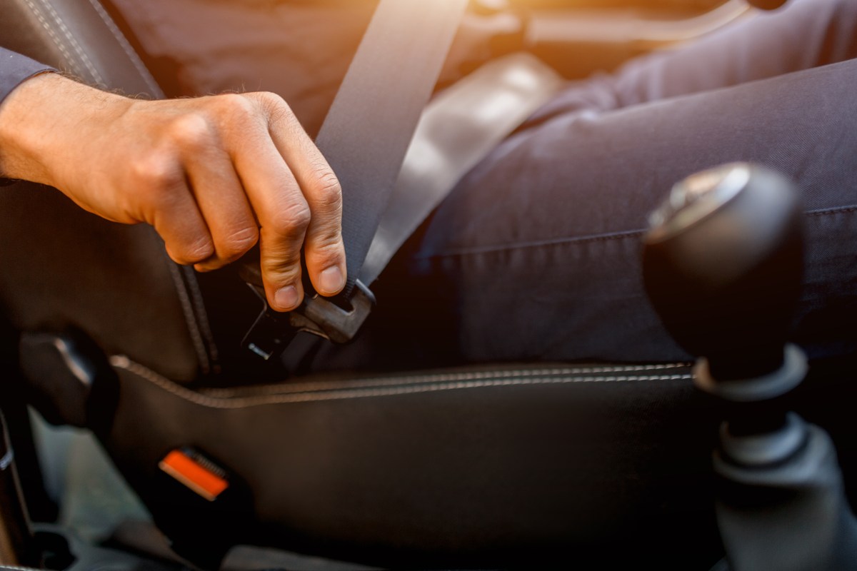 Nueva inspección de cinturones: lo que debes saber - Siempre Auto